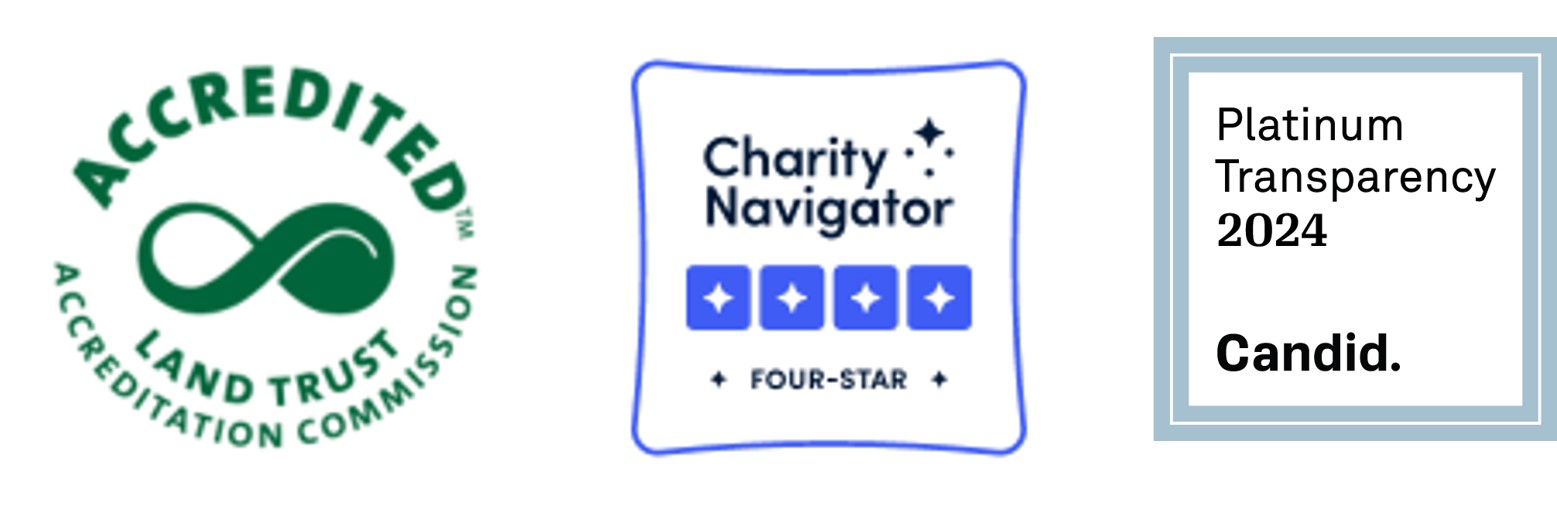 DonorPerfect Forms
